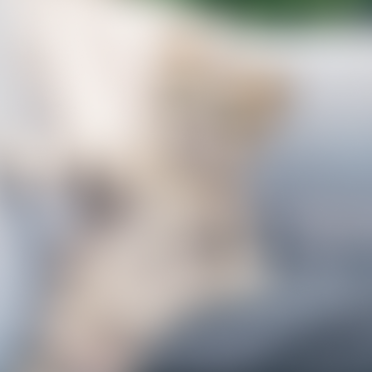 Stashed | Sell your private files